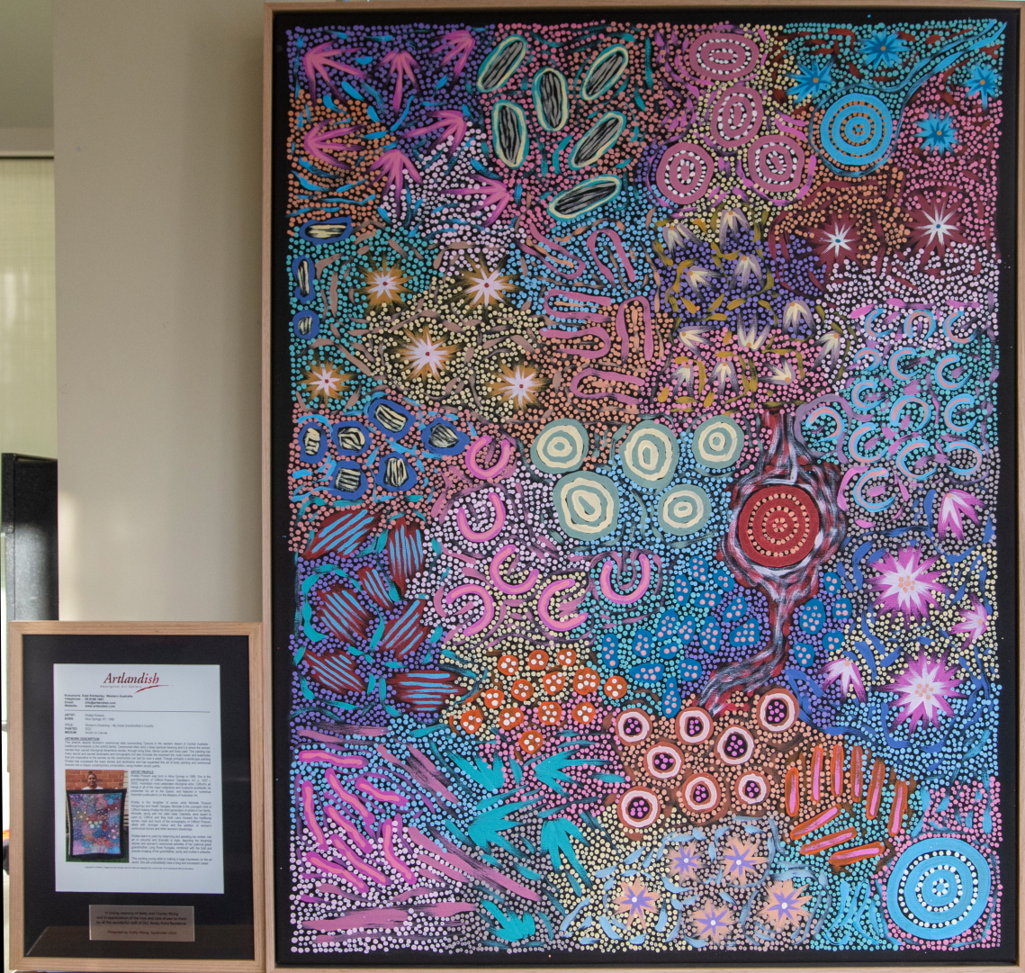 Embracing Indigenous Culture:“Women’s Dreaming – My Great Grandmother’s ...